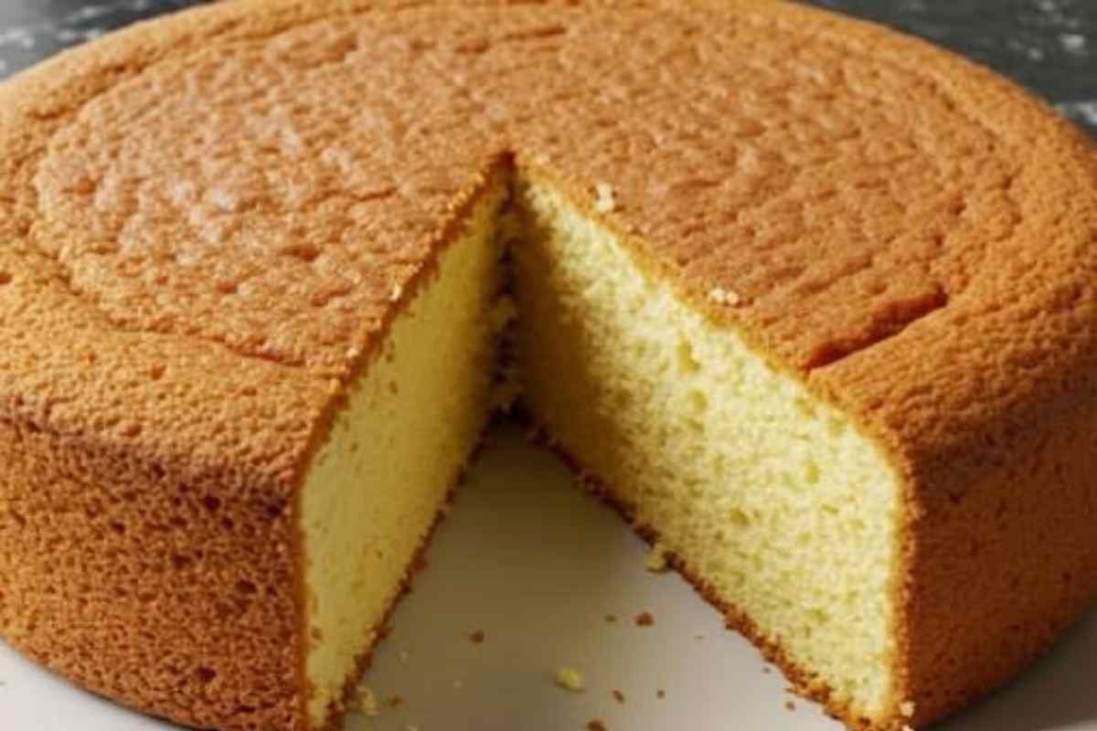 Bizcocho Simple y Casero! Receta Tradicional, Consejos Profesionales y ...